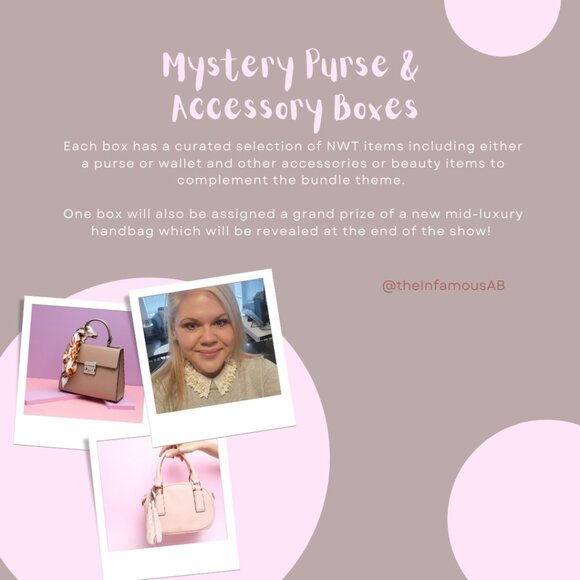 Multiples | Bags | Purse Accessory Curated Mystery Boxes Rack Pack ...